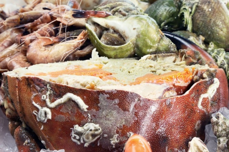 Tourteau ou araignée ? Apprenez à mieux les connaître